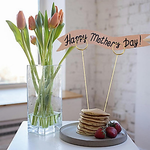 DSYIL 60 PCS Floral Picks Bulk, Metal Floral Place Card Holder, Round Photo Card Holder for Centerpieces, Flower Picks Clip for Gift Card and Party Favor, 13.4 Inches