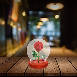 ULTECHNOVO 2pcs Glass Dome Glass Cloche Clear Display Case Cloche Dome Small Display Case Display Cases for Collectibles Glass Case for Display Figures House Decorations for Home Match Cloche