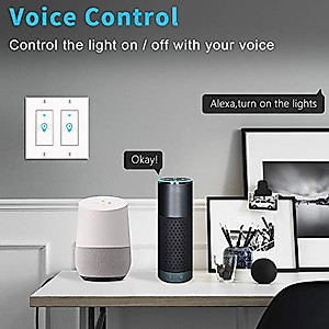 Smart Light Switch, Alexa Smart Double Switch, Smart Light Switch 2 Gang with Timing Schedule and Remote Control, Neutral Wire Needed, Compatible with Alexa and Google Home, Single Pole (2Pack)