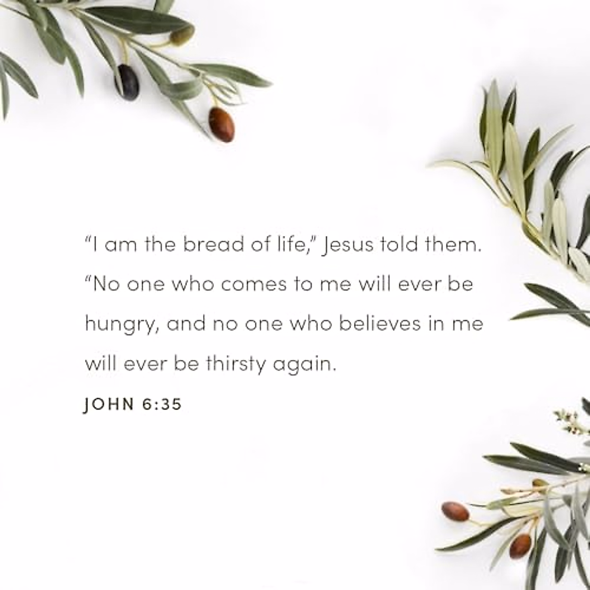 Finding I AM - Bible Study Book with Video Access: How Jesus Fully Satisfies the Cry of Your Heart