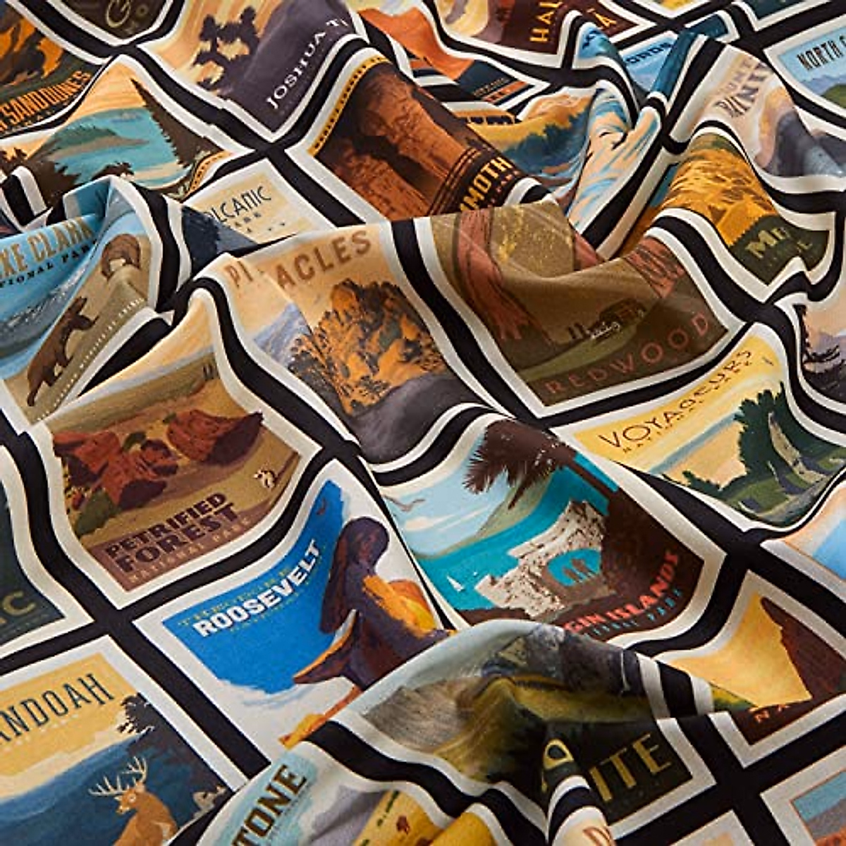 Riley Blake National Parks Posters 23”x43” Panel with Black Borders, Quilting, Apparel and Home Decor Fabric