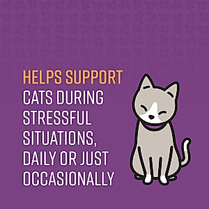 Sentry Calming Chews for Cats, Calming Aid Helps to Manage Stress & Anxiety, With Pheromones That May Help Curb Destructive Behavior & Separation Anxiety, Calming Health Supplement for Cats, 4 oz.