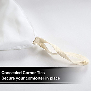 Breathable 800 Thread Count Egyptian Cotton 3-PCs Duvet Set (1 Duvet Cover Zipper Closure with Corner Ties & 2 Pillow Shams) Solid Style (King/Cal-King, White)