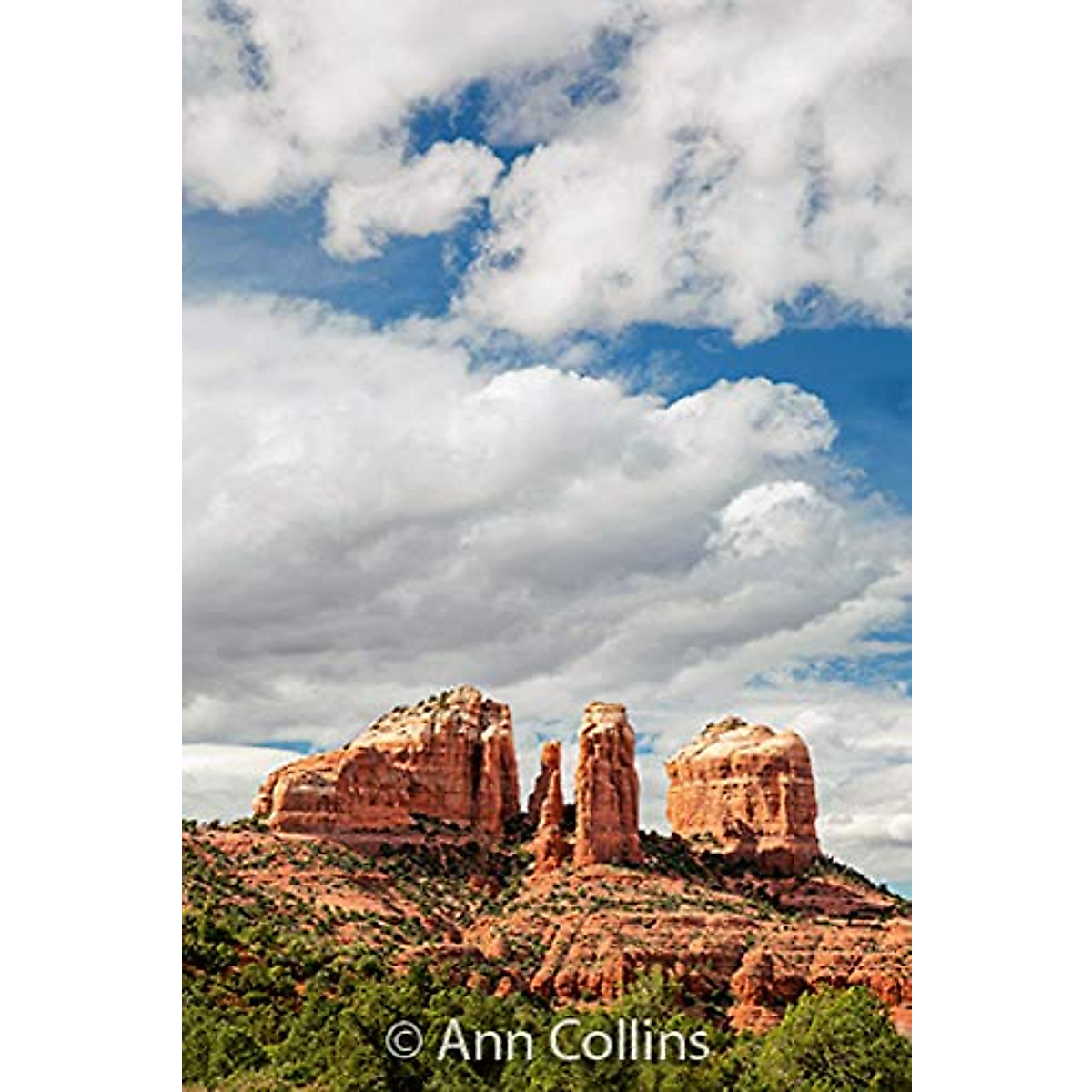 Sierra Club Engagement Calendar 2021