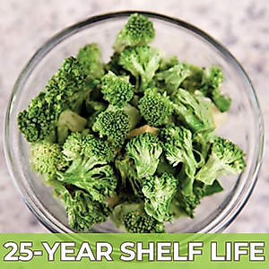 Nutristore Freeze Dried Broccoli | Survival Emergency Veggie Supply, Healthy Meals, Camping | Made in USA | 25 Year Shelf Life | #10 Can