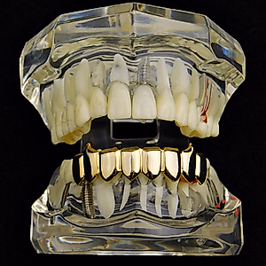 Fang Grillz 14k Gold Plated 8 Bottom Teeth Fangs Eight Piece Slugs Hip Hop Vampire Mouth Grills