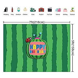Cute Cartoon Watermelon Backdrop Kids 1st 2nd 3rd Happy Birthday Watermelon Theme Party Photography Backdrops Newborn Baby Shower Decoration Background 7x5FT