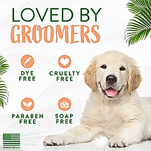 TropiClean 2-in-1 Papaya & Coconut Dog Shampoo and Conditioner | Natural Pet Shampoo Derived from Natural Ingredients | Cat Friendly | Made in the USA | 1 gallon