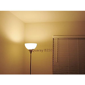 Quaray 10 Inch Plastic Bowl Lamp Shade for Torchiere Floor Lamp, White, B250