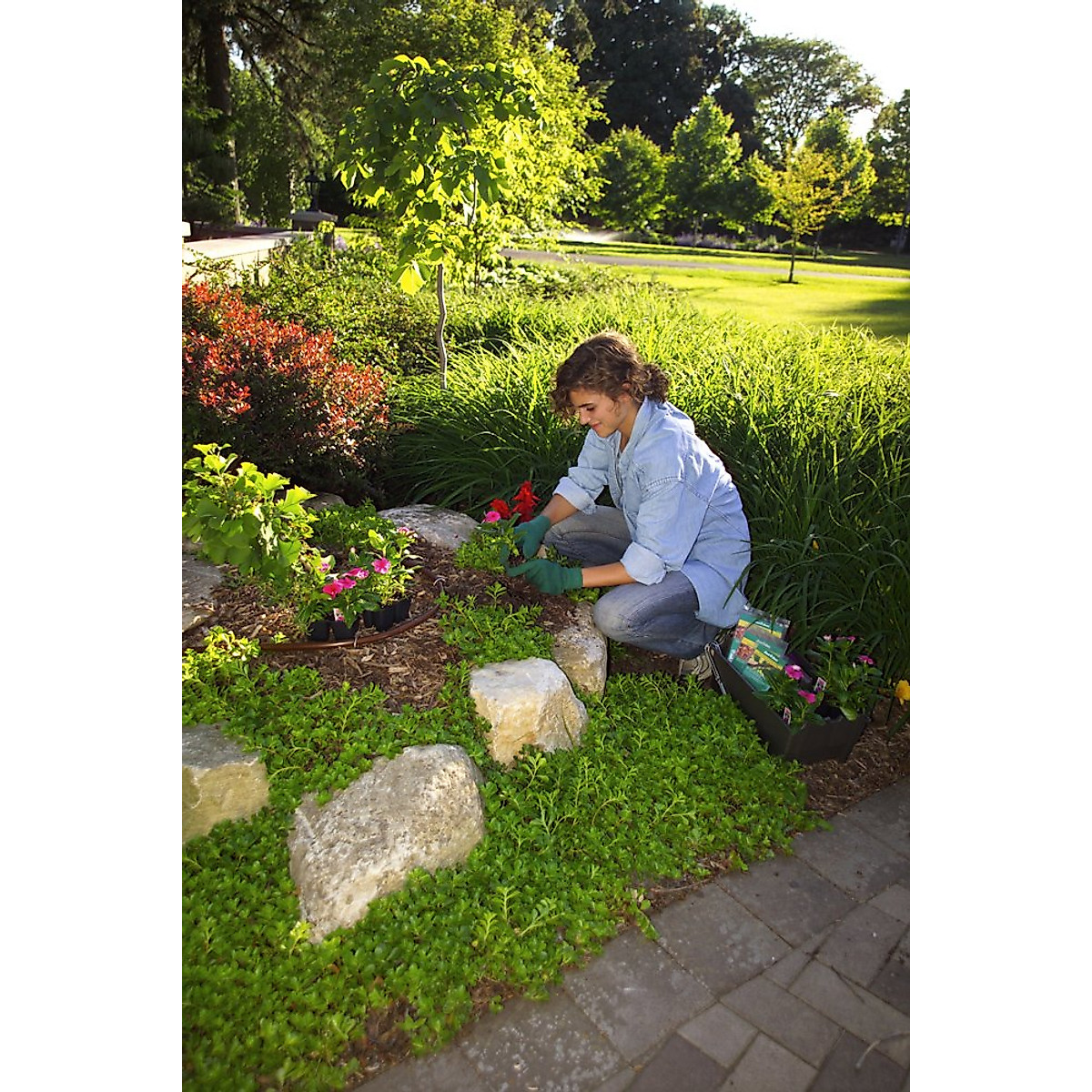 Rain Bird GRDNERKIT Drip Irrigation Gardener's Drip Kit