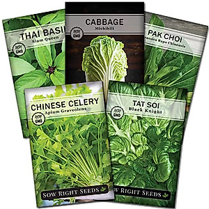 Sow Right Seeds - Asian Greens Collection for Planting - Individual Packets Thai Basil, Pak Choi, Chinese Celery, Michihili Cabbage and Tat SOI, Non-GMO Heirloom Seeds