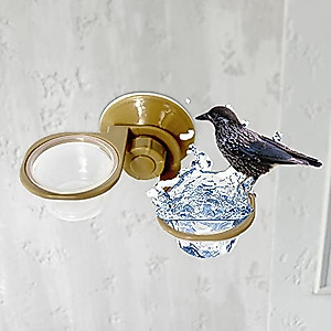 Amphibian Reptile Food Bowl Pets Suction Cup Worm Terrarium Water Dish Mealworms Bowls Feeders for Bearded Gecko