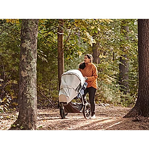 Sun and Bug Shield for Ridge