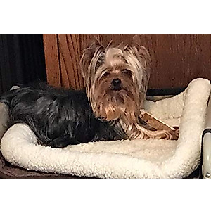 Mountain Dog Chews - Petite Split Elk 6 Pack - Elk Antler Dog Chew - Grade A Premium - Organic - Made in USA - No Mess