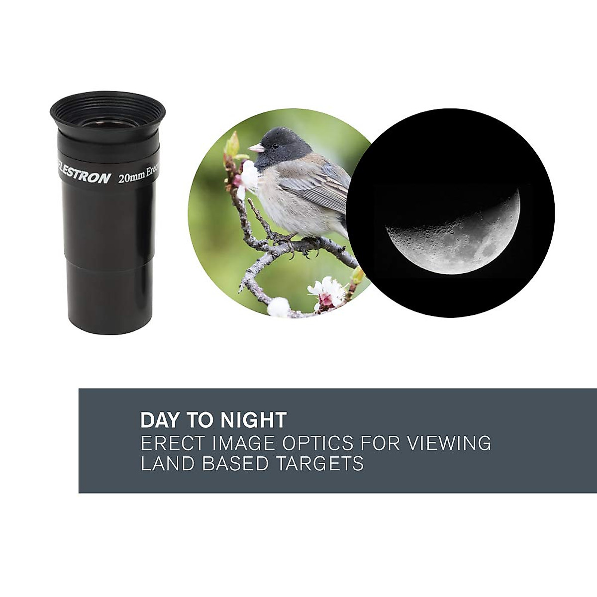 Celestron - AstroMaster 130EQ Newtonian Telescope - Reflector Telescope for Beginners - Fully-Coated Glass Optics - Adjustable-Height Tripod - Bonus Astronomy Software Package