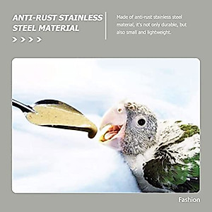 Hemoton 4.7inch Bird Stainless Steel Feeding Spoon, 6Pcs Special Bird Feeding Scoop Spoons, Hand Feeding Spoons for Peony Cockatiel Parrot