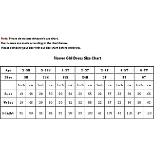 ABAO SISTER Baby Girls Sequined Flower Girl Dress Toddler Princess Tulle Tutu Pageant Ball Gowns, Pink 24M