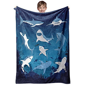 Shark Throw Blanket, 320gsm Kids Blanket Fluffy Cozy Soft Warm Plush Lightweight Decorative Blanket Gifts for Boys Girls Women Men Baby, Blankets Quilt for Bed Sofa Chair Couch (50"x40")