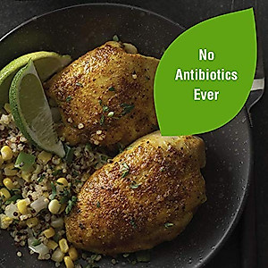 Just Bare Chicken Natural Fresh Chicken Thighs | No Antibiotics Ever | Boneless | Skinless | 1.25 LB