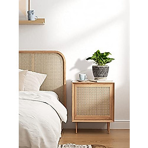 LE TAUCI Cement Planters Pots for Indoor Plants, 5.5 Inch Boho Plant Pots with Drainage Holes & Saucers, Decorative Succulent Pots Indoor, Bonsai Pots, Unglazed, Set of 2