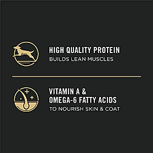 Purina Pro Plan High Protein Dry Puppy Food, Chicken and Rice Formula - 6 lb. Bag