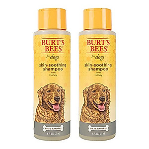 Burt's Bees for Dogs Natural Skin Soothing Shampoo with Honey | Dog Shampoo for All Dogs and Puppies | Safe for Dogs with Dry, Sensitive Skin | pH Balanced for Dogs - Made in USA, 16 Ounces - 2 Pack