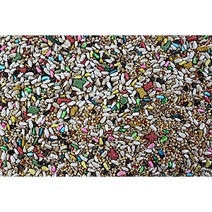 L Avian Plus Cockatiel Bird Food No Sunflower Mix, 5 lbs