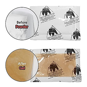 BEARHUNT Moisture Absorber Deodorant - Shoes, Closet, Tent etc. (0.36oz X 50pcs)