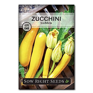 Sow Right Seeds - Zucchini Squash Seed Collection for Planting - Black Beauty, Cocozelle, Grey, Round, and Golden - Non-GMO Heirloom Packet to Plant a Home Vegetable Garden - Productive Summer Squash