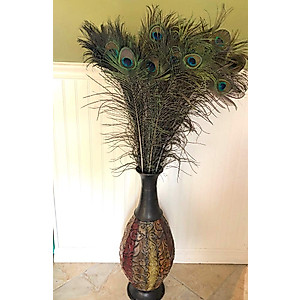 Lamplight Feather Peacock Feathers, Natural, 35-40 inch Long per 25