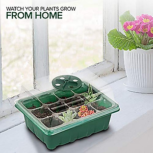 Seed Starter Kit (10 Pack) 12 Cell (120 Total) Seedling Plant Germination Tray for Gardening, Set with: Garden Dome Lids, Base Seed Trays for Soil, Planting Hand Tools, Dibber, Widger, & Plant Tags