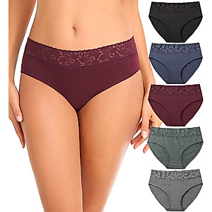 RHYFF Womens Underwear Cotton Lace Panties Soft Bikini Panty Comfortable Hipster Stretch Full Ladies Briefs 5 Pack S-XL(R3020-Dark-L)