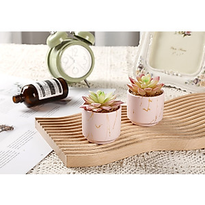 zenmag Fake Succulents, Mini Succulents Plants Artificial in Pink Ceramic Pots for Desk Livingroom Bathroom and Home Decoration Office Decor for Women Set of 2 Artificial Succulents