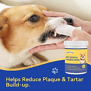 Pet Health Care Kit for Dogs & Cats - Includes Paw Cleaner, Eyes & Ear Wipes, Teeth Cleaning Wipes - Provide a Deep Clean Safe, Gently Remove Tear Stain, Remove Plaque and Tartar