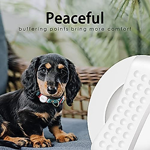Airtag Dog Collar Holder (2 Pack) with Buffering Dots, Waterproof Pet Collar Case for Apple Air Tag GPS Tracker, Air Itag Holder Cover,Fits Most Collars (White/Blue) …