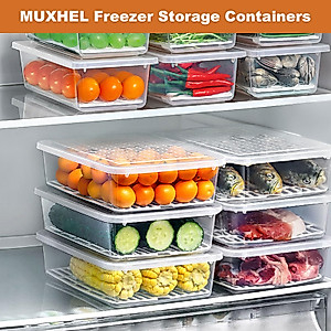 MUXHEL 6 Pcs Food Storage Container for Fridge, X-Large Fruit Storage Containers for Fridge with Lid and Removable Drain Plate, Plastic Freezer Storage Containers for Storing Fruits, Vegetables, Meat