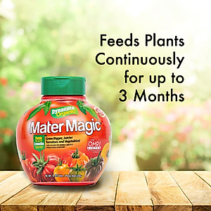 Dynamite Mater Magic - Organic Tomato Fertilizer for Bigger, Juicier Tomatoes and Vegetables, OMRI Listed, Nitrogen and Calcium-Rich Plant Food - .675 Pound Container with Shaker Lid