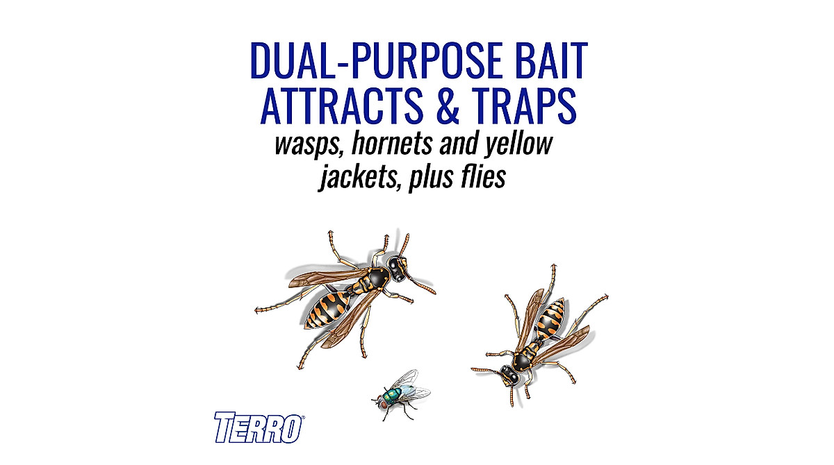 Terro T512 Wasp & Fly Trap - Easy, Reusable Insect Defense