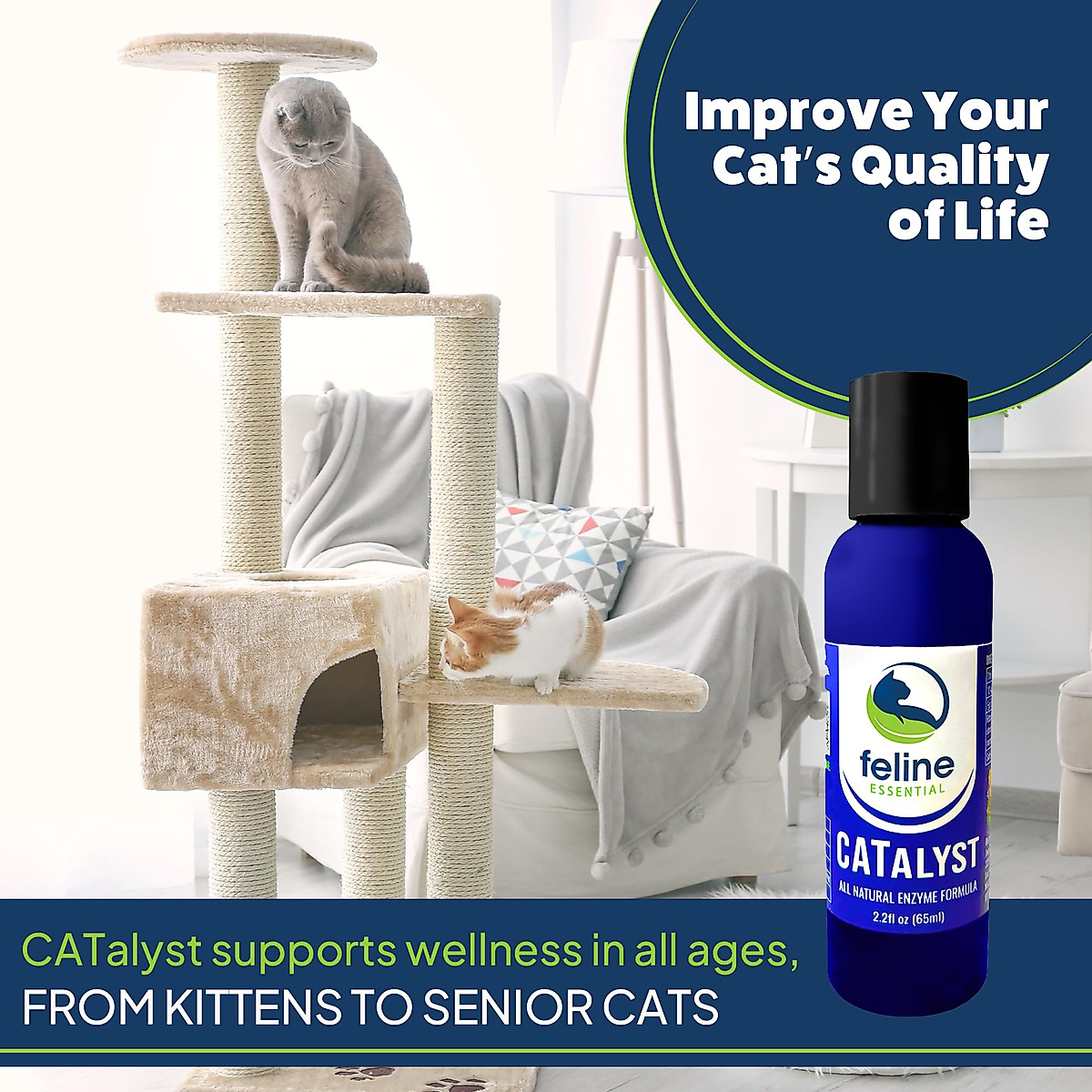 Feline Essential Catalyst Antioxidant Enzyme Formula for Cats - Cat Digestive Enzyme - Digestive Enzymes for Cats - Cat Digestive Support - Feline Catalyst Liquid Pancreatic Enzyme Supplements Cats