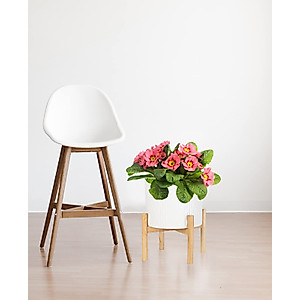 LaDoVita Ceramic Plant Pot with Stand, 8 Inch Planter with Wood Shelf, Modern Round Flower Pots Indoor with Wood Planter Holder, White Water Ripple Pattern