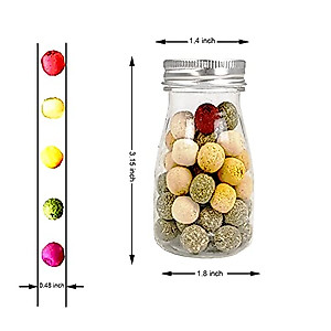 Rabbit Chew Toys, Small Animal Treats Include Fruit and Vegetable Balls, All Natural Baking Treats with Lucerne, Dandelion, Apple and Timothy Hay Ball for Guinea Pig, Hamster and Other Small Animals