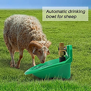 MINYULUA 2pcs Automatic Waterer Bowl Sheep Goats Drinking Bowl Farm Feeding Water Bowl Dispenser Plastic Drinking Trough Livestock Supply for Piglet Cattle Dog, Green