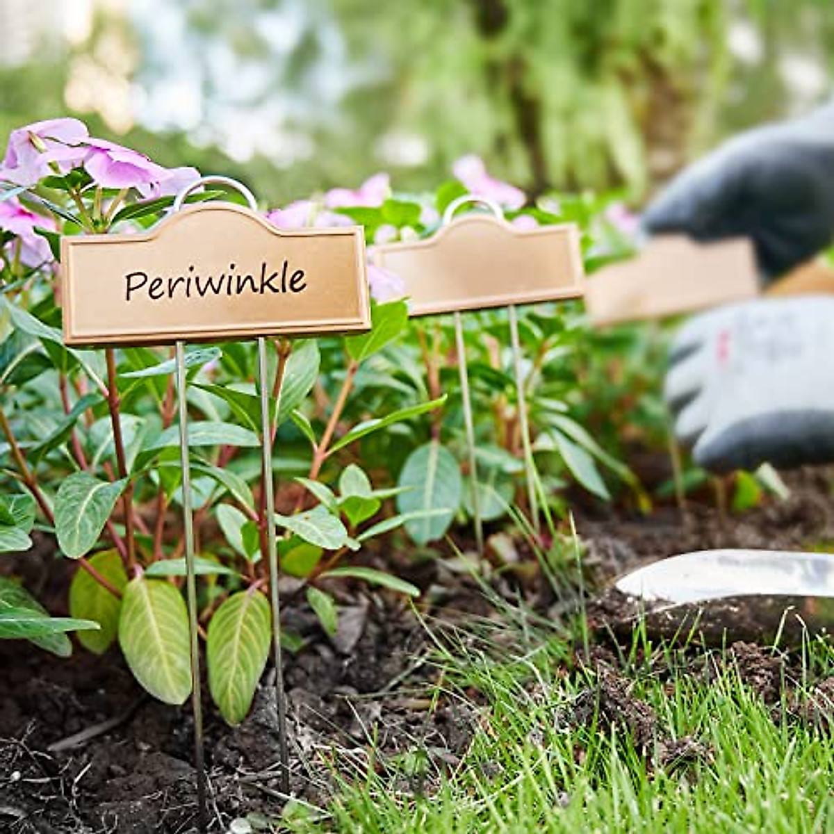 Metal Plant Labels Weatherproof 25 Pack, Outdoor Stainless Steel SS304 Garden Label Markers for Plants Vegetables Herb Seedlings Flowers with a Pen, Height 10.75 Inch, Label Area 3.74'' x 1.39''