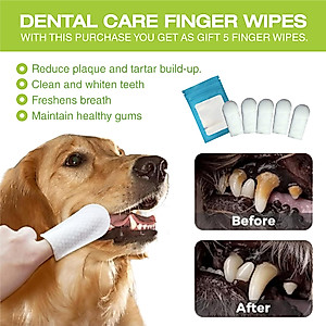 CATUPUNIS 2PCS Dog Braces for Back Leg for Support. Dog Arthritis Brace. Hind Leg Support for Dogs. Leg Brace for Dogs Back Leg. Dog Leg Brace. Dog Back Leg Support Brace. Dog Hock Brace Rear Leg (L)