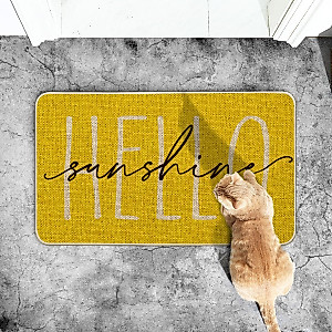 Artoid Mode Yellow Hello Sunshine Summer Decorative Doormat, Seasonal Spring Holiday Low-Profile Floor Mat Switch Mat for Indoor Outdoor 17 x 29 Inch