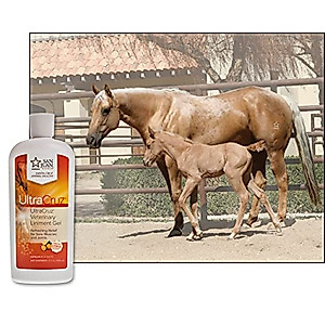 UltraCruz - sc-516110 Veterinary Liniment Gel for Horses, 12 oz
