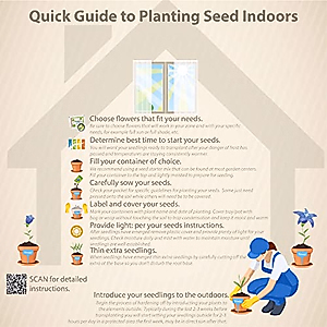 Outsidepride Delphinium Larkspur Rocket Wild Flowers - 1000 Seeds