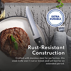 New Star Foodservice 539014 10-Inch Steak Knife, 5-Inch Rounded Serrated Blade with Plastic Handle, Jumbo, Set of 12