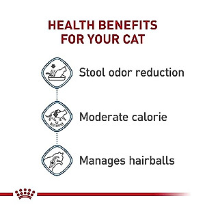 Royal Canin Indoor Adult Dry Cat Food, 7 lb bag