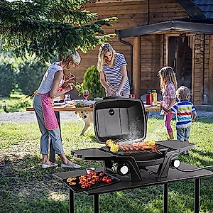 Portable Gas Grill, Portable Propane Grill, Propane Gas Grill, 24,000 BTU Outdoor Tabletop Small BBQ Grill with Two Burners, Removable Side Tables, Gas Hose and Regulator, Built in Thermometer, Black